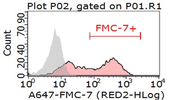 Anti-CD20 Antibody, clone FMC7, Alexa Fluor® 647 Conjugate | MAB1217-AF647